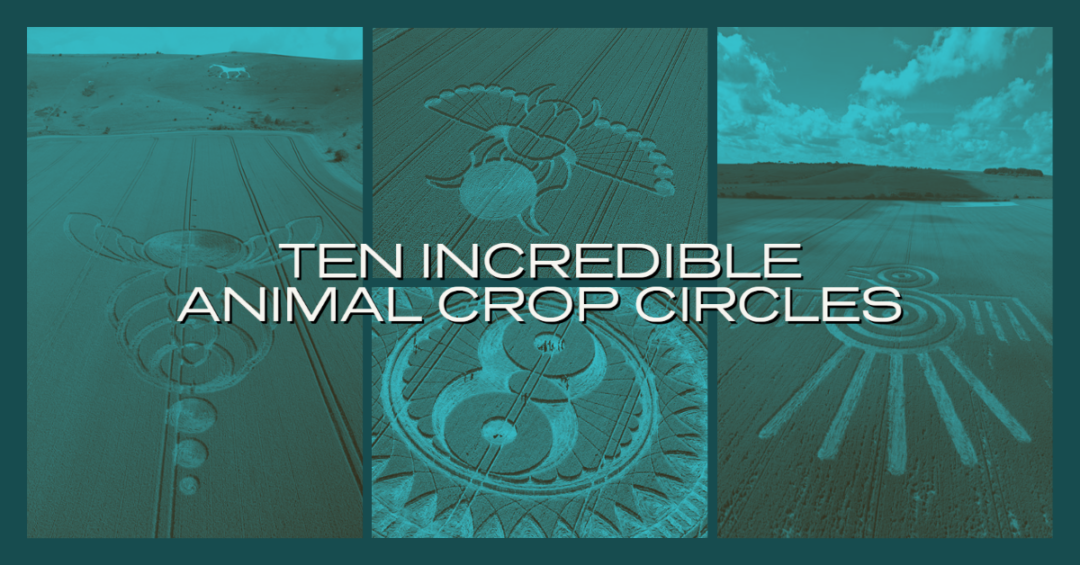 Ten Incredible Animal Crop Circles | The Croppie