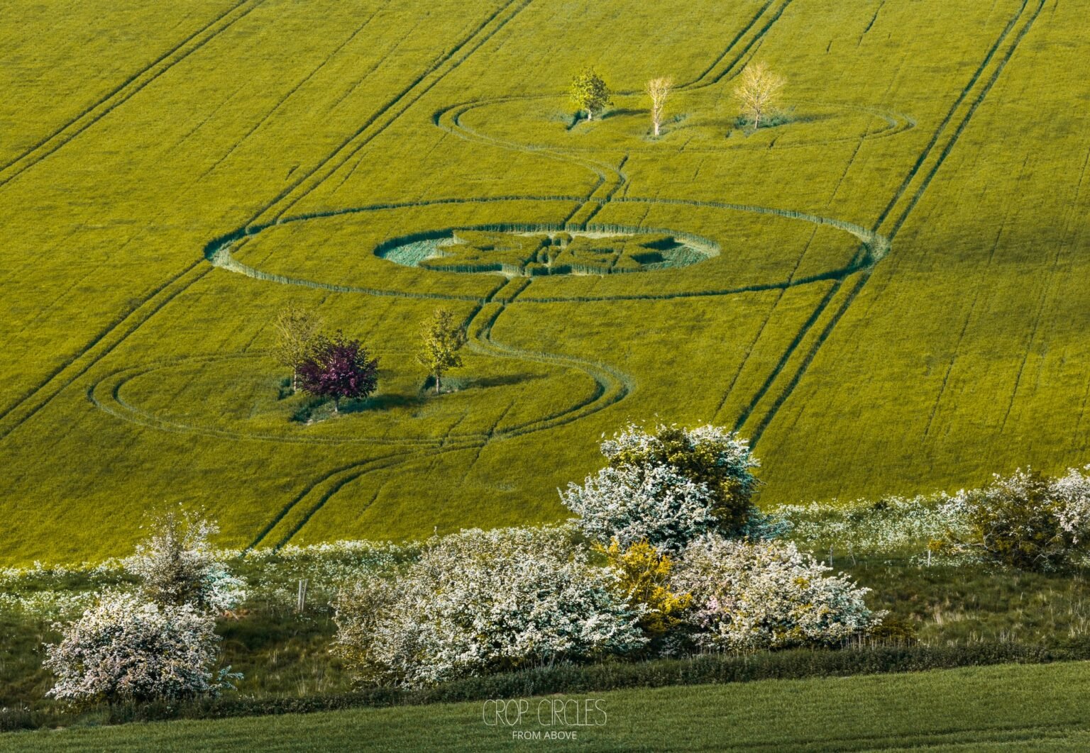 2025 Circles: The Gallops, Sutton Veny, Wiltshire | The Croppie
